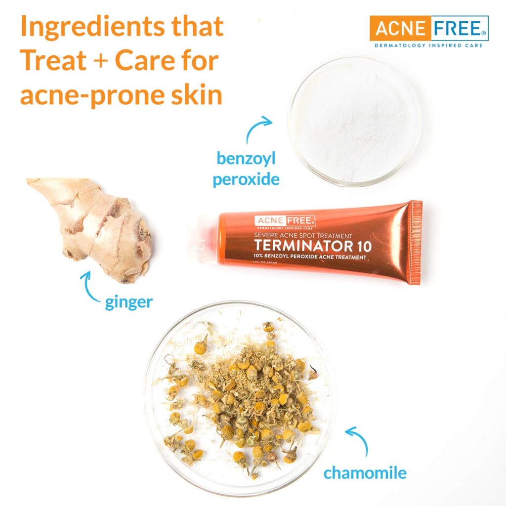 AcneFree Terminator 10 Acne Spot Treatment with Benzoyl Peroxide 10% ...
